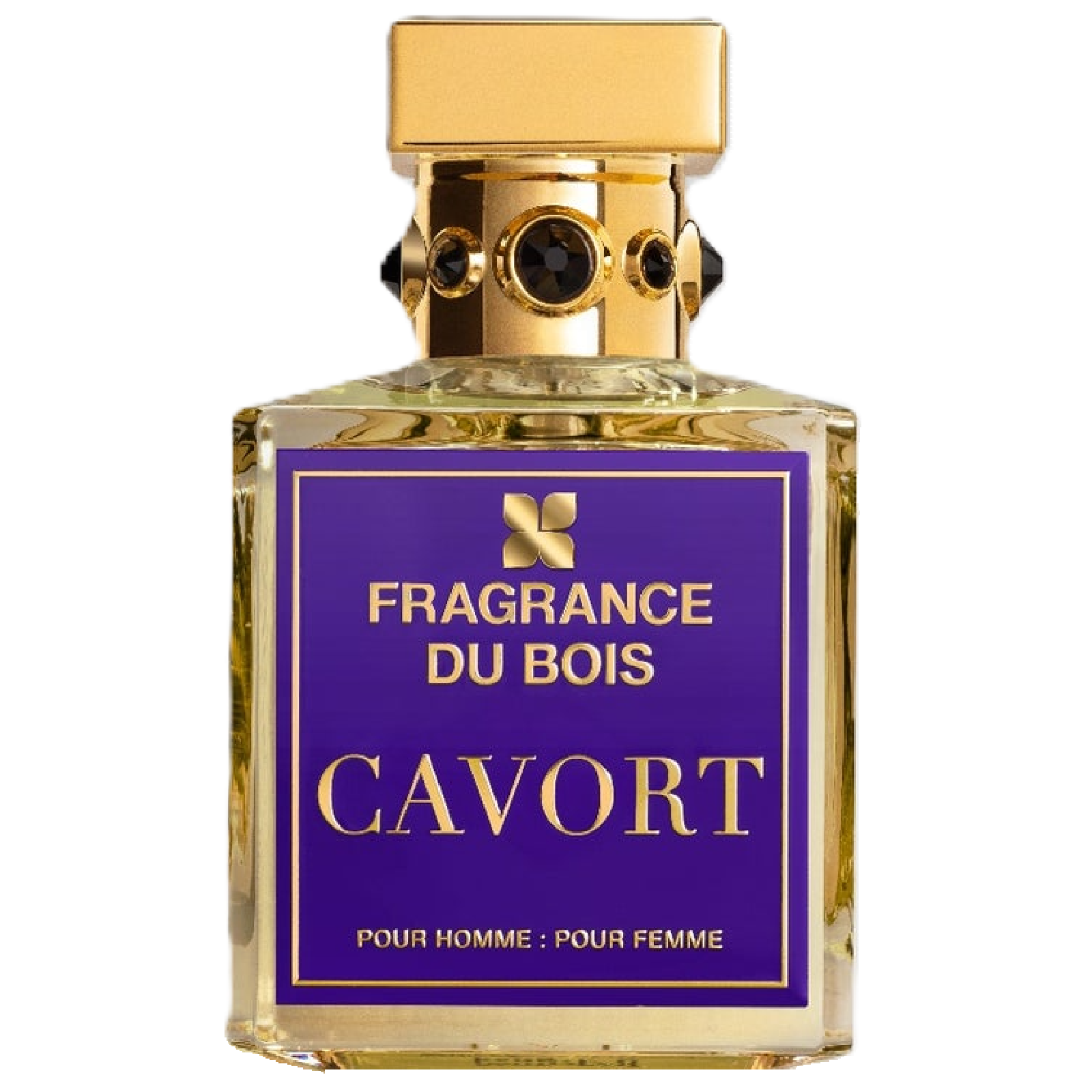 Cavort Extrait de Parfum - Unisex Luxury Fragrance