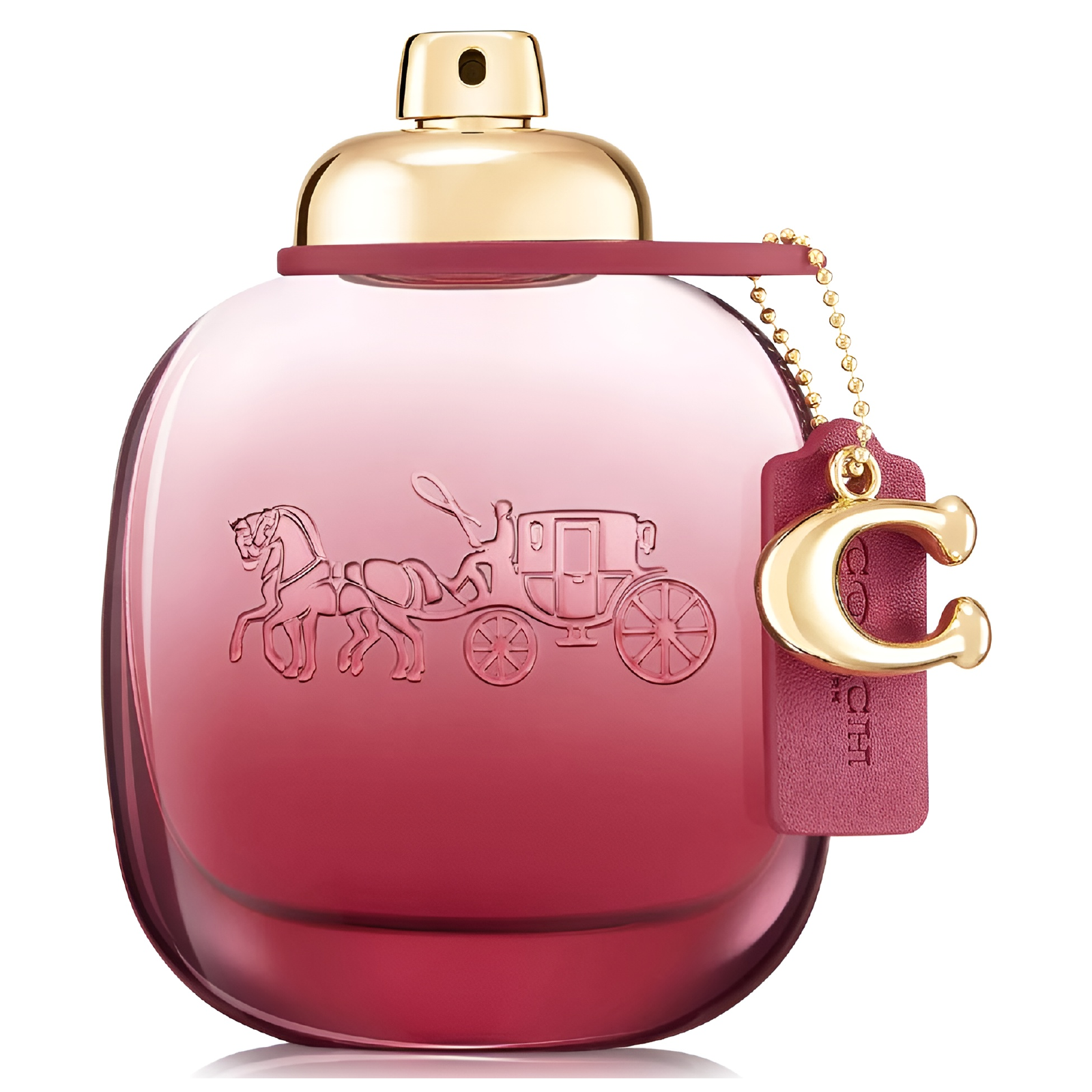 Coach Wild Rose Eau de Parfum for Women – Beauty House