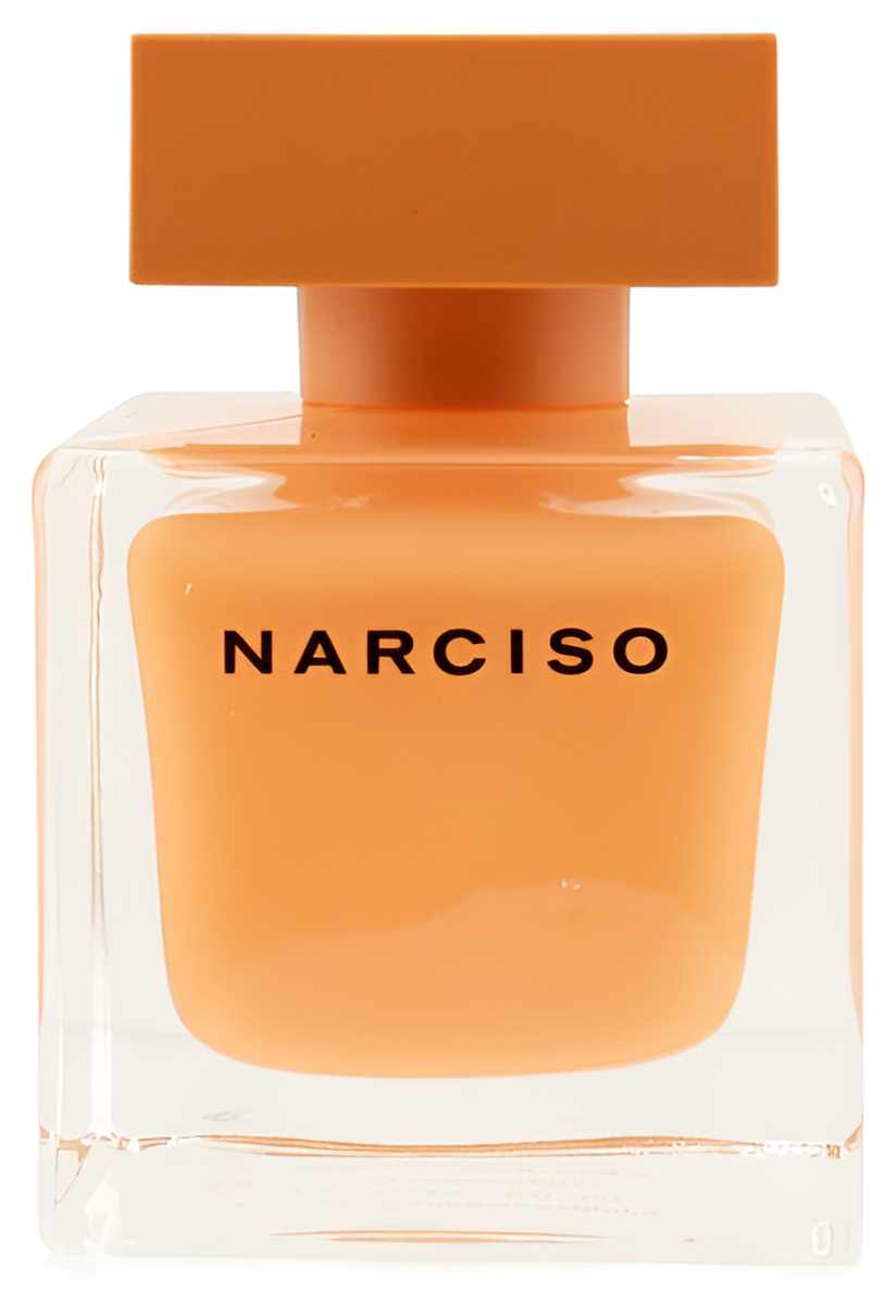 Narciso Rodriguez Ambree Eau de Parfum for Women – Beauty House