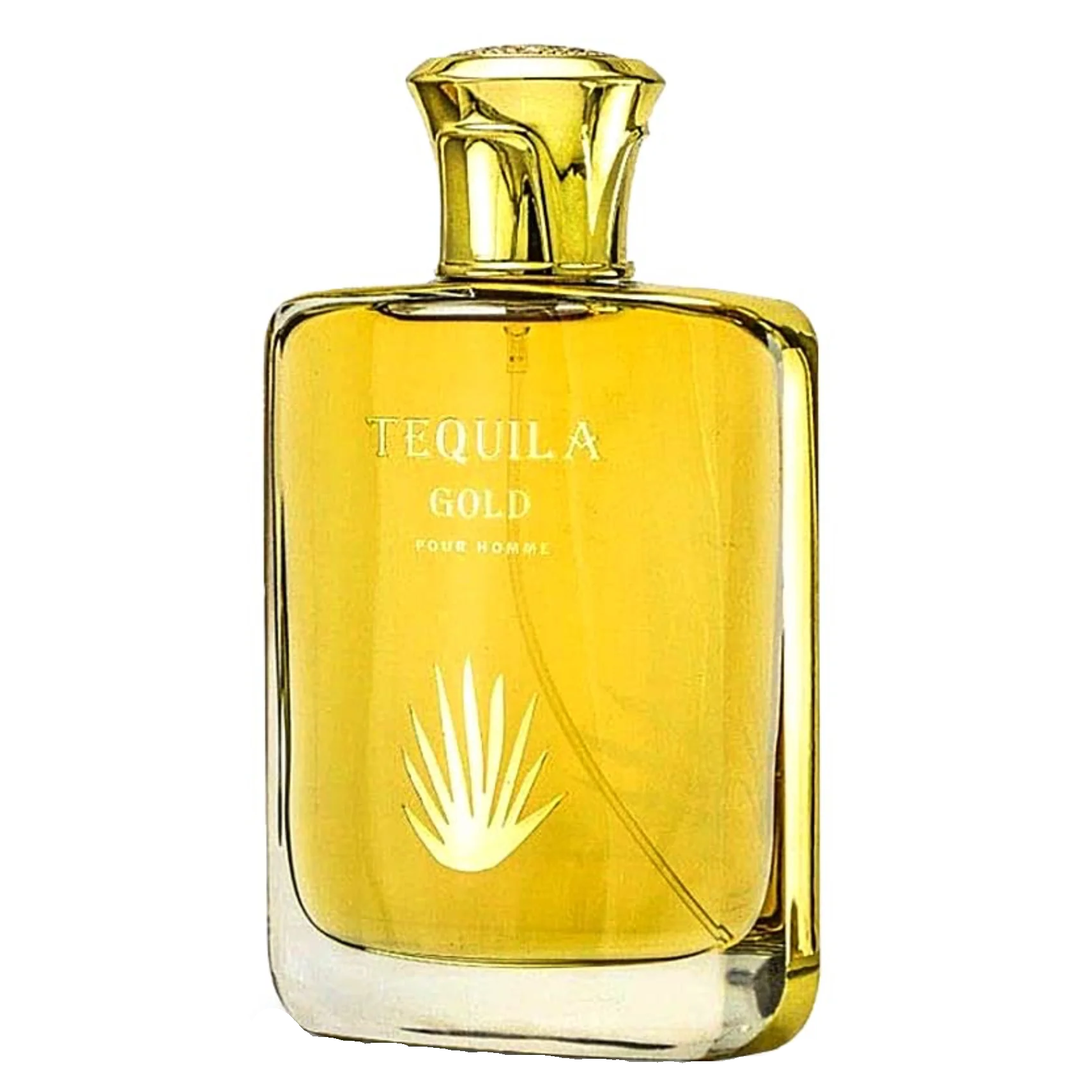 Tequila Gold Eau de Parfum for Men - Bold & Fresh Scent